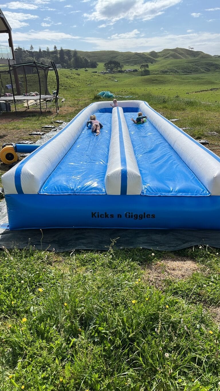 Large 2 Person Water Slide With Plunge Pool - Kicks N Giggles